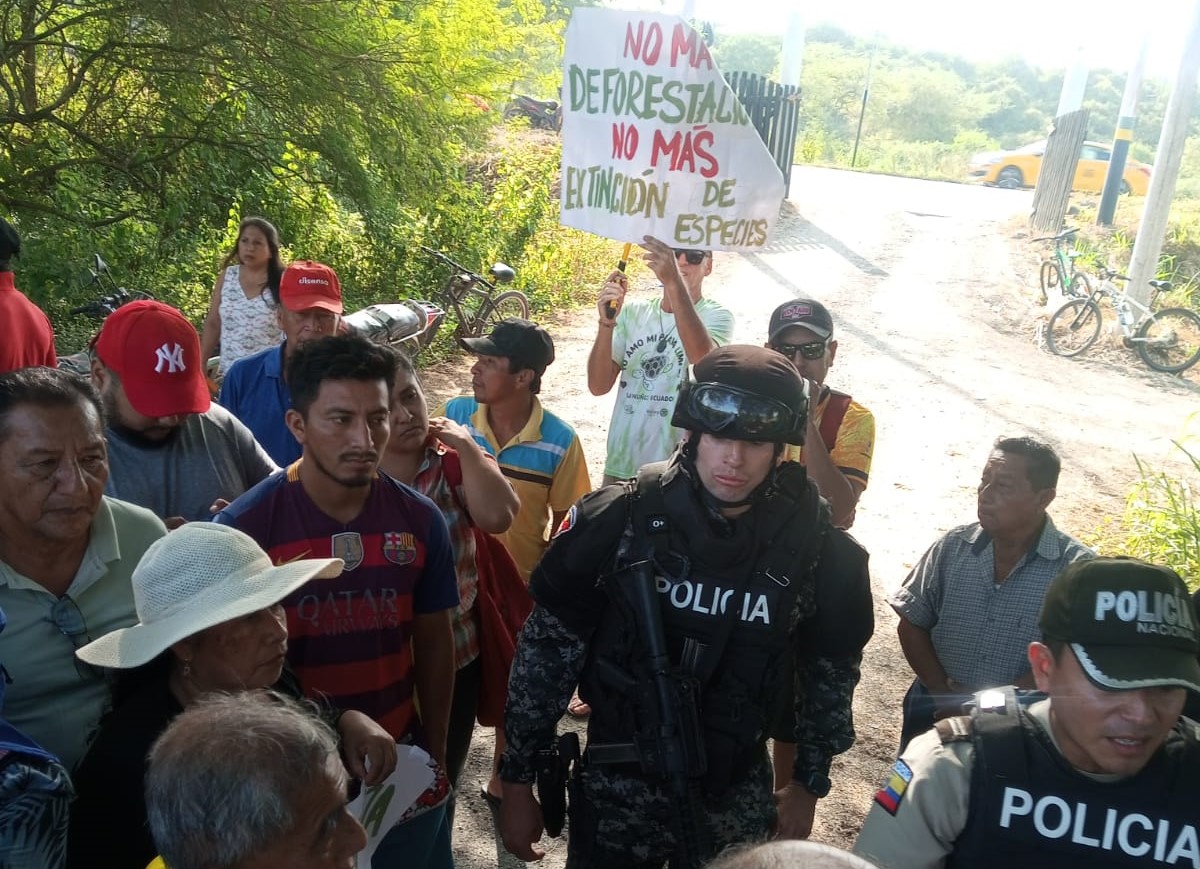 ¿Qué pasa en Olón?: Protestan por el corte de manglar y acusan a ... ¿Qué pasa en Olón?: Protestan por el corte de manglar y acusan a ...